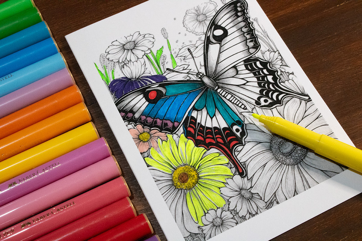 Colouring In Butterfly Cards set of 4 – Cloud Publishing